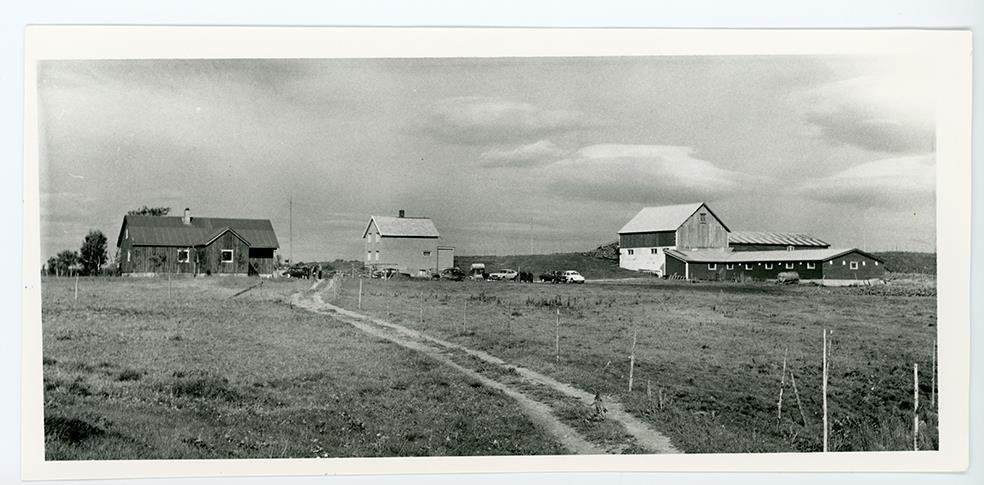 1900-tallet i Vevelstad - fylkesleksikon Nordland